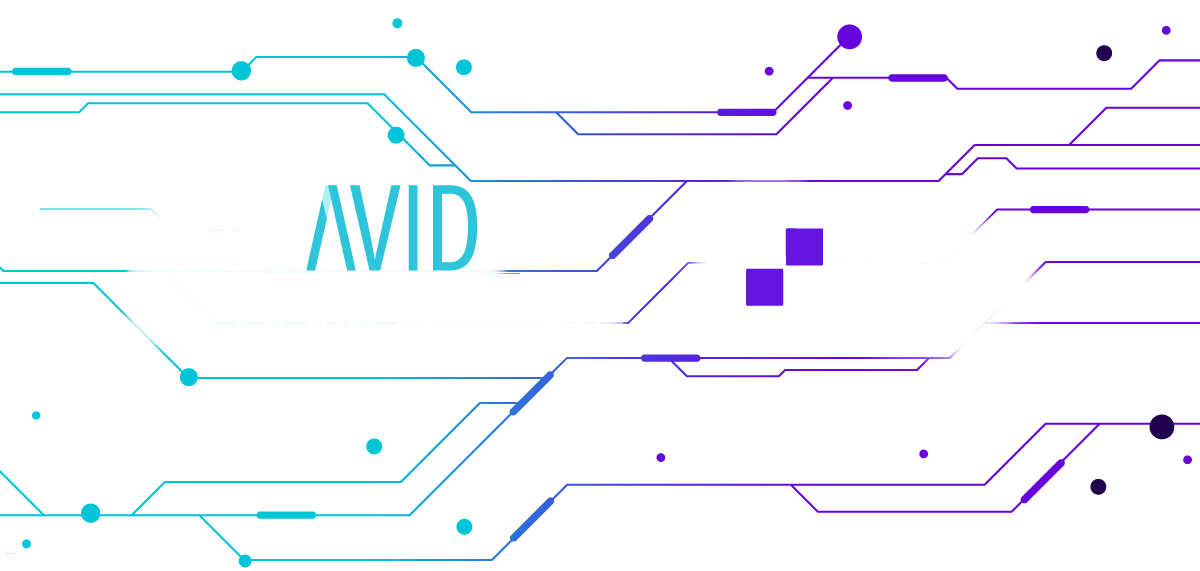 Enterprise Search & Knowledge Management Consulting | Datavid